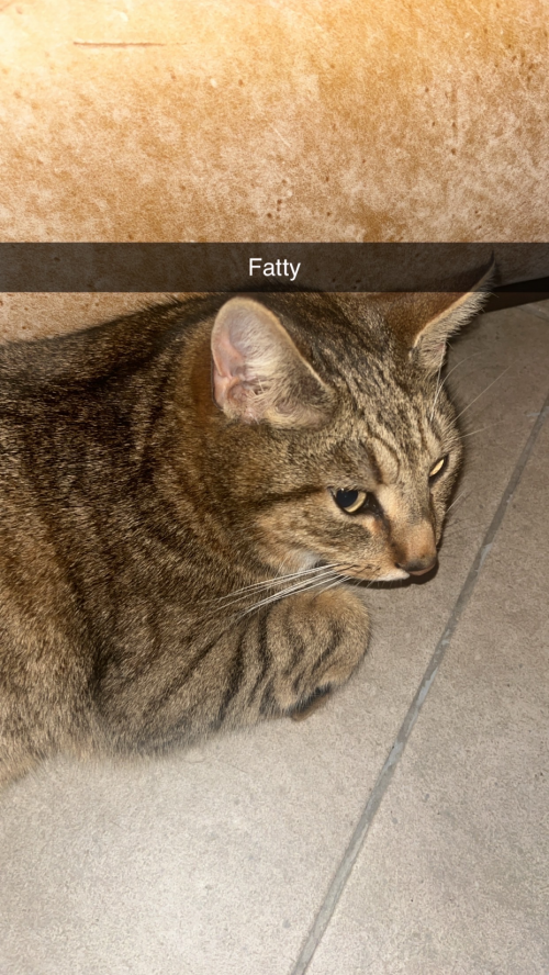 PL Teams 24/25 Tier List (Community Rankings) - TierMaker