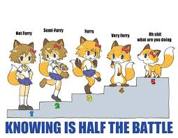 Create a Furry Tier List - TierMaker