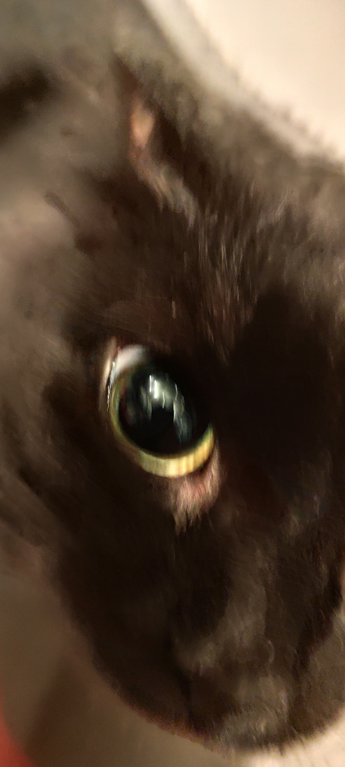 Fruits rouge Tier List (Community Rankings) - TierMaker