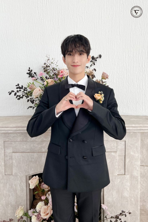 Create a seventeen whatever you choose Tier List - TierMaker