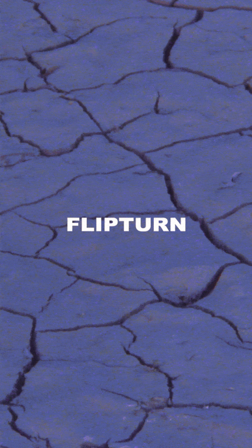 Create a flipturn's Whole Discography Tier List - TierMaker