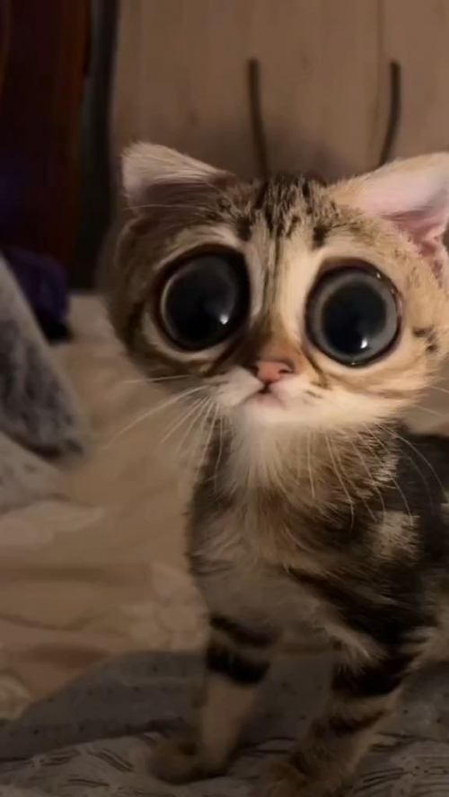 Create a ASTD Legend Battleground Tier List - TierMaker