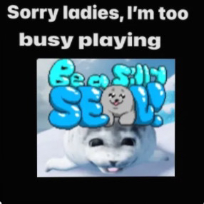 Create a Be a silly seal skins ! Tier List - TierMaker