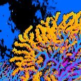 Create a TyDiReef-D 2024 Story Ranking Tier List - TierMaker