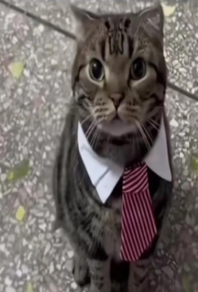 Platinum GDPS creators Tier List (Community Rankings) - TierMaker