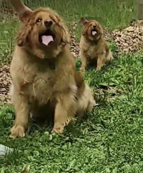 Create a Freak List Tier List - TierMaker