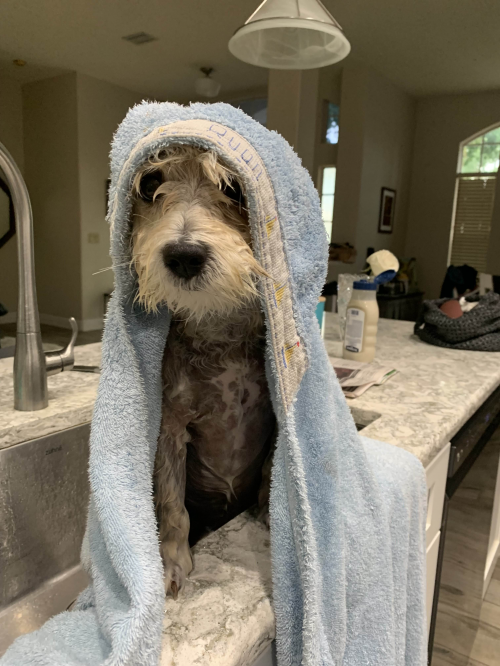 Create A Yes Tier List Tiermaker