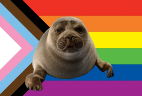 Create a Seal ultimate tierlist Tier List - TierMaker