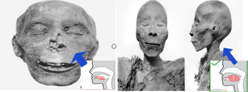 baka gang top rizzlers Tier List (Community Rankings) - TierMaker