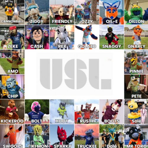 Create a USL Mascot Rankings Tier List - TierMaker