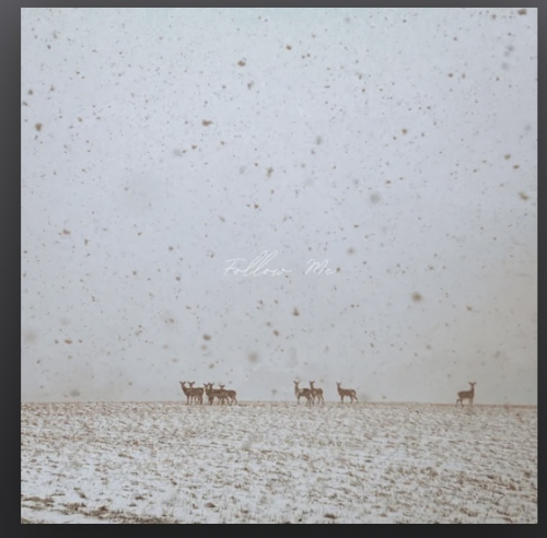 Create a Markus Lambert Discography Tier List - TierMaker