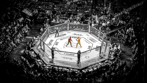 Create a UFC Fighters (Active) Tier List - TierMaker