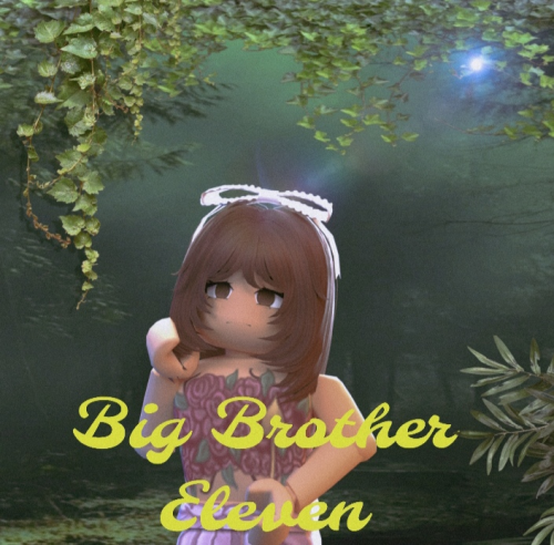 Create a Big Brother Eleven S2 TRS Tier List - TierMaker