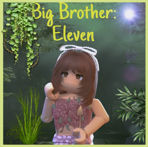 Create a Big Brother Eleven S2 Trs Tier List - TierMaker