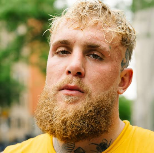 Create a Rank boxers and fighters on if they can beat Jake Paul Tier ...