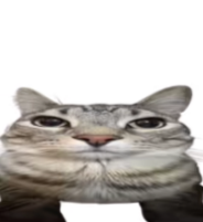 skibidi Tier List (Community Rankings) - TierMaker