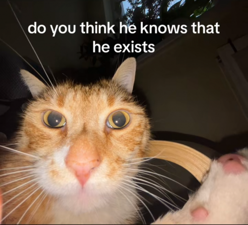 Create a FTF Pallete Contest Judging Tier List - TierMaker