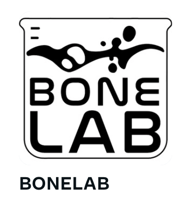 Bonelab copies Tier List (Community Rankings) - TierMaker