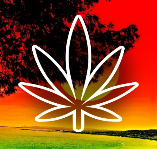 Weedplace Tier List (Community Rankings) - TierMaker