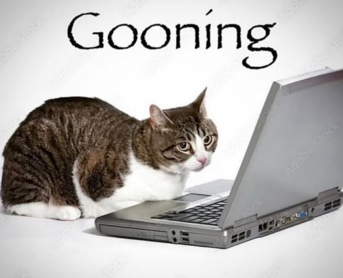 Create a Rate my crushes Tier List - TierMaker