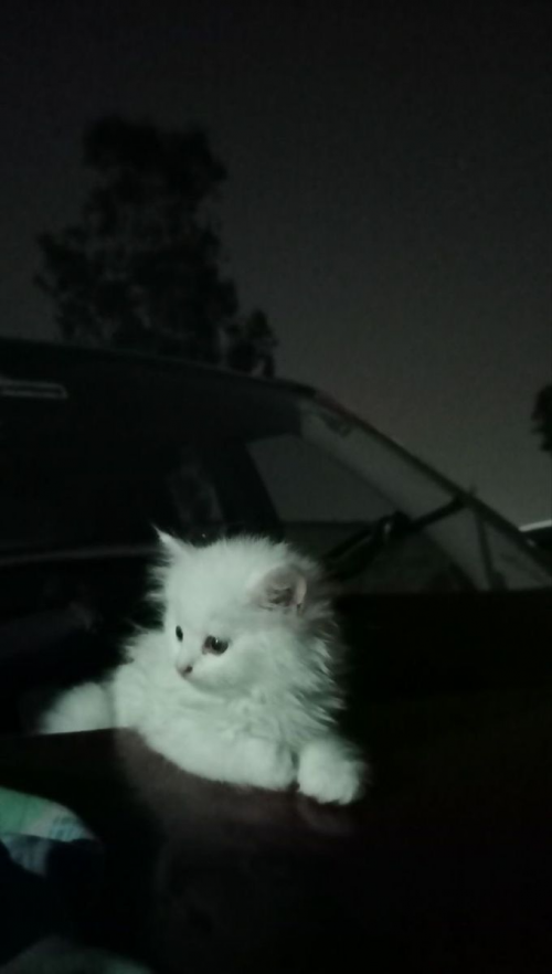 Create a wowoow Tier List - TierMaker