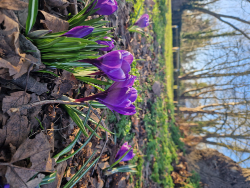 Create a Sticker Tier List - TierMaker