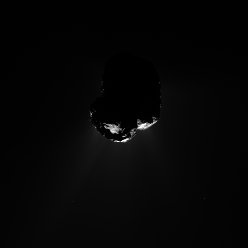 Create a discord Tier List - TierMaker