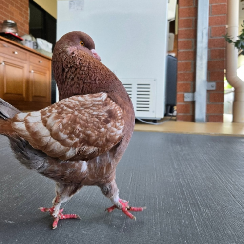 Create a Best song creators Tier List - TierMaker