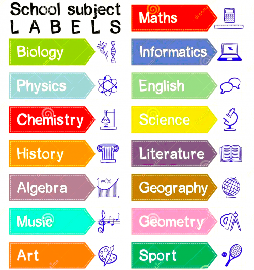 Create a School Subjects Tier List - TierMaker