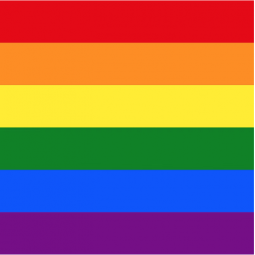 HRC Pride Flags Tier List (Community Rankings) - TierMaker