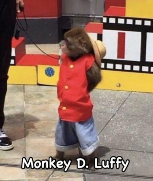 Create a Triad CS 5v5s Tier List - TierMaker