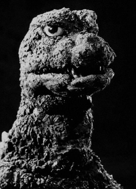 Create a Tier goji Tier List - TierMaker