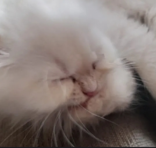 Cata hangout rankings Tier List (Community Rankings) - TierMaker