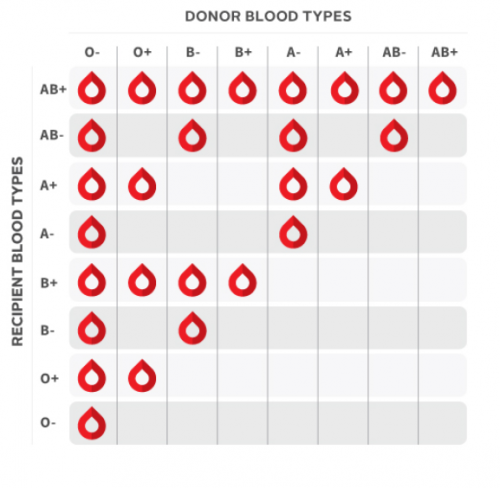 Create a Blood types AB0 Tier List - TierMaker