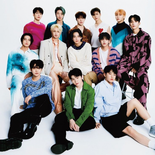 Create a svt members Tier List - TierMaker