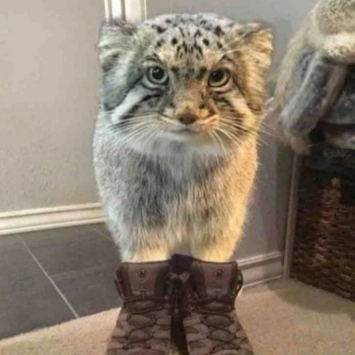 rate mixes Tier List (Community Rankings) - TierMaker