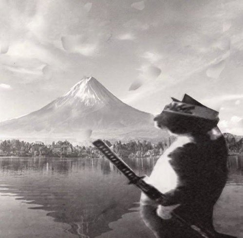 People Ranking Tier List (Community Rankings) - TierMaker