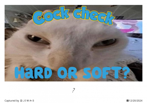 Vrchat Players Tierlist Tier List (Community Rankings) - TierMaker