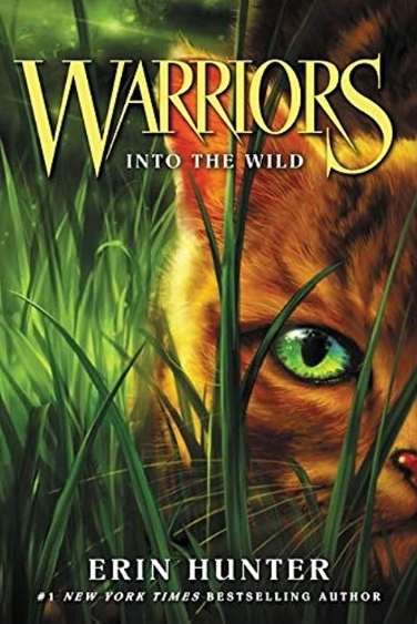 Warrior cats book teir list Tier List (Community Rankings) - TierMaker