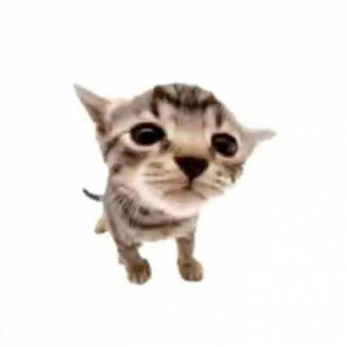 Create a my grade.... Tier List - TierMaker