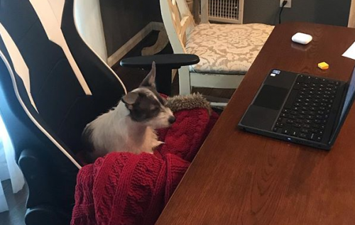 Create a Courtroom hsr lore paths Tier List - TierMaker