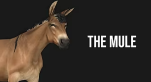 ⋆˚࿔ SSO: The Mule Tierlist! 𝜗𝜚˚⋆ Tier List (Community Rankings) - TierMaker