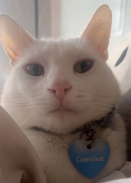 freak level Tier List (Community Rankings) - TierMaker