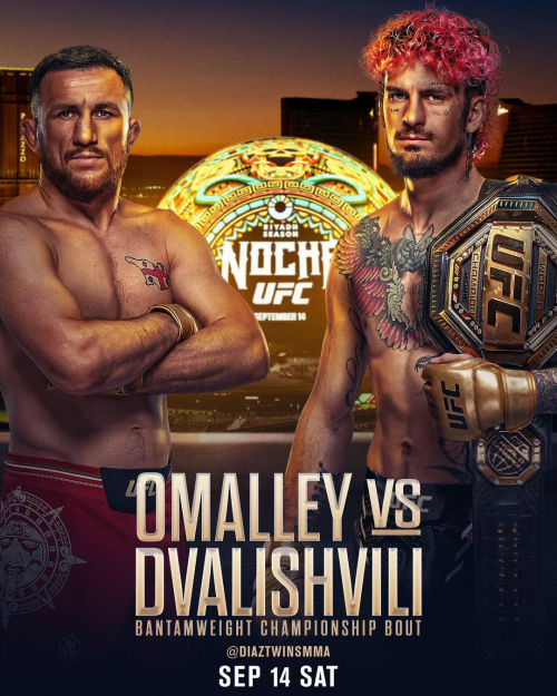 Create a Ranking UFC and Boxing Fights I've watched live Tier List ...