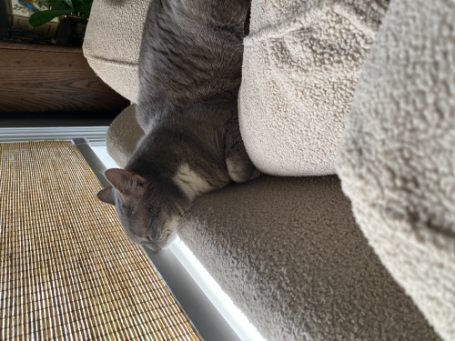 family Tier List (Community Rankings) - TierMaker