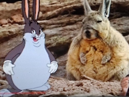 Create a Lurgy merchant rankings Tier List - TierMaker