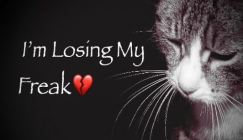 Create a science units Tier List - TierMaker