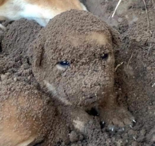 8duo tierlist rate now Tier List (Community Rankings) - TierMaker