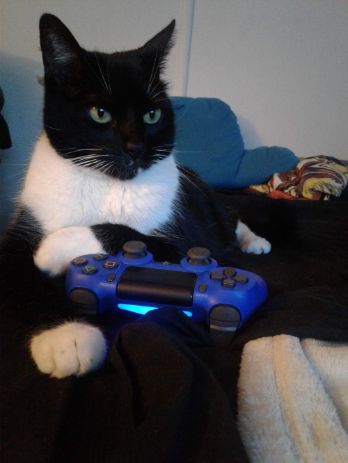 GOTY 2025 Tier List (Community Rankings) - TierMaker