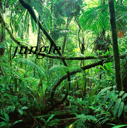 Create a unturned ranged weapons Tier List - TierMaker